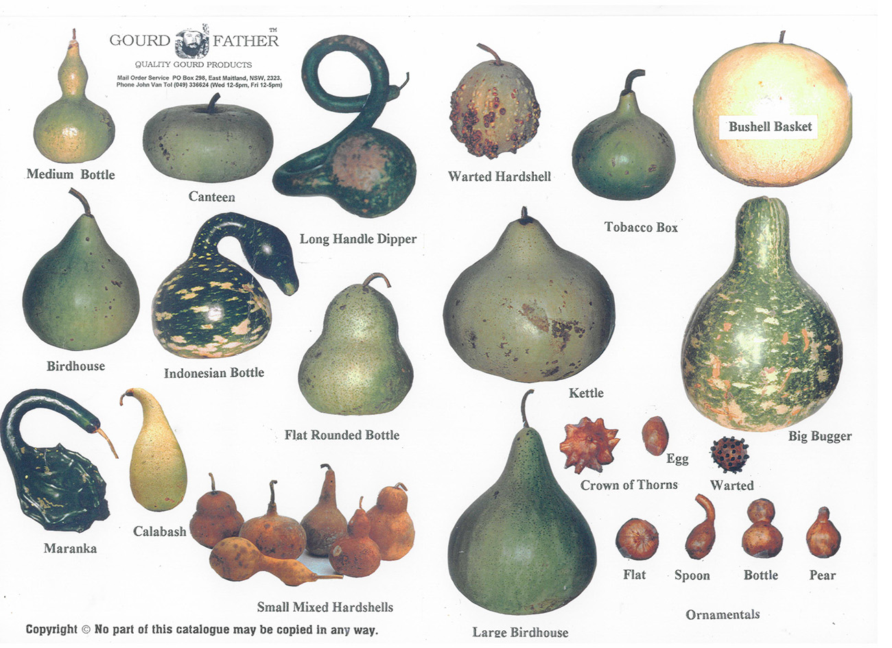 Drying Gourds